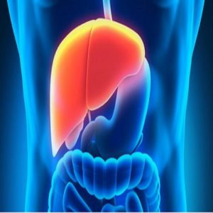 HEPATO-BILILARY SURGERY | Dr. Yogesh Bang - Gastroenterologist In ...